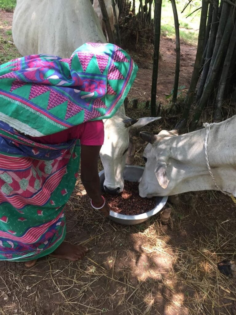 First People - People come first