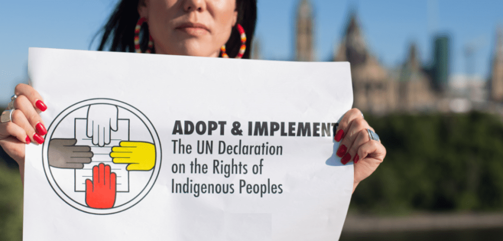 The War Bonnet: A Sacred Symbol of Native American Honor and Heritage ...